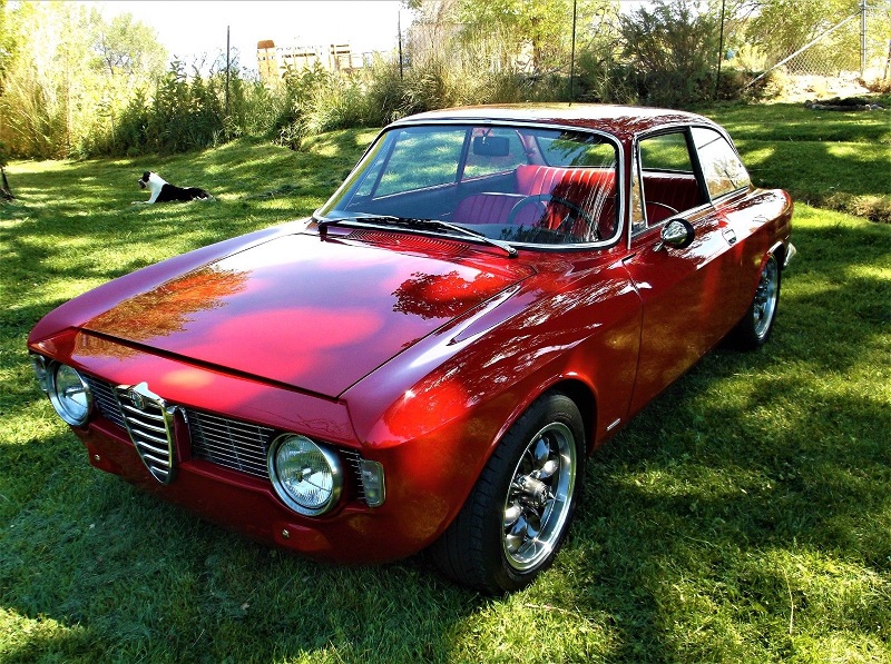 Paddle style: 1965 Alfa Romeo Giulia Sprint GT – Classic Virus