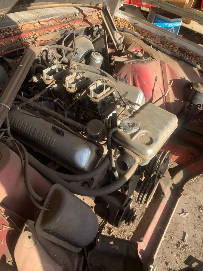 Two sisters: 1963 Ford Thunderbird fastback by Ghia – Classic Virus